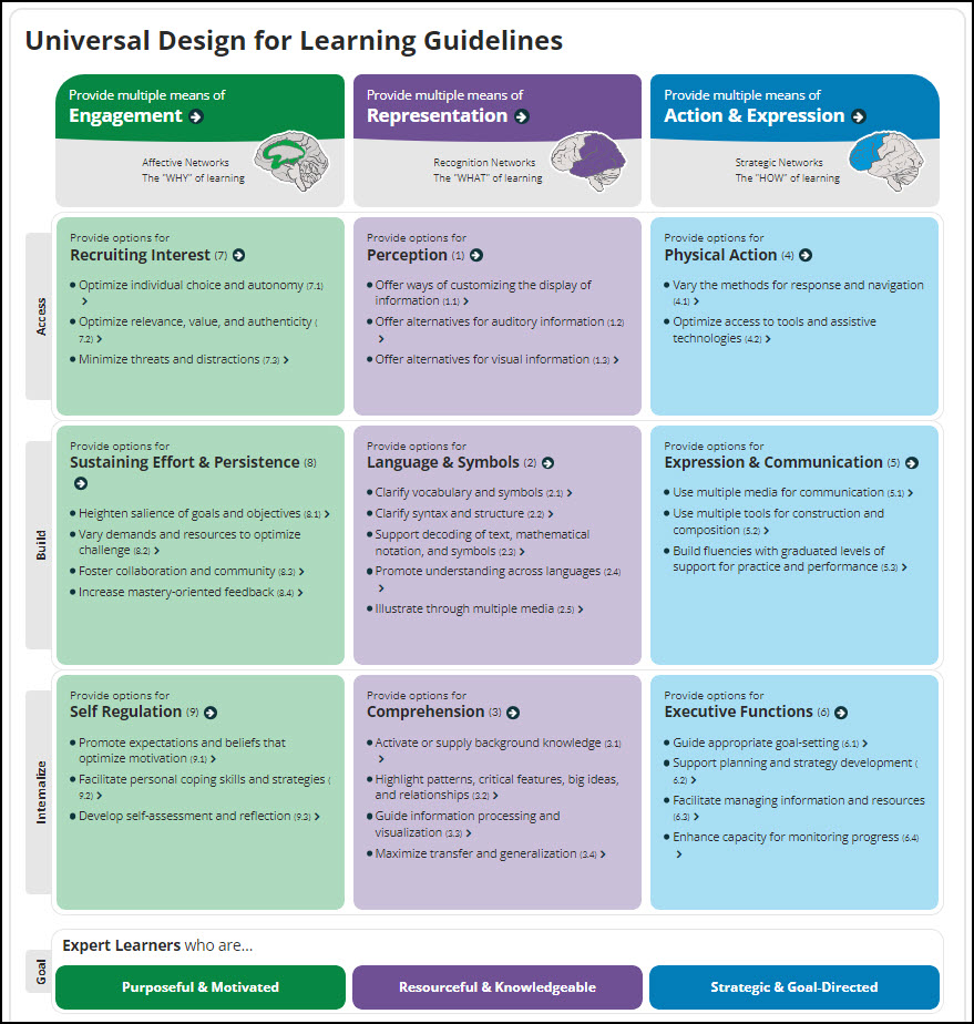 Universal Design for Learning (UDL) | Loyola University New Orleans